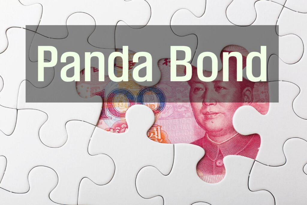 판다 본드 (Panda Bond) - IT Insights