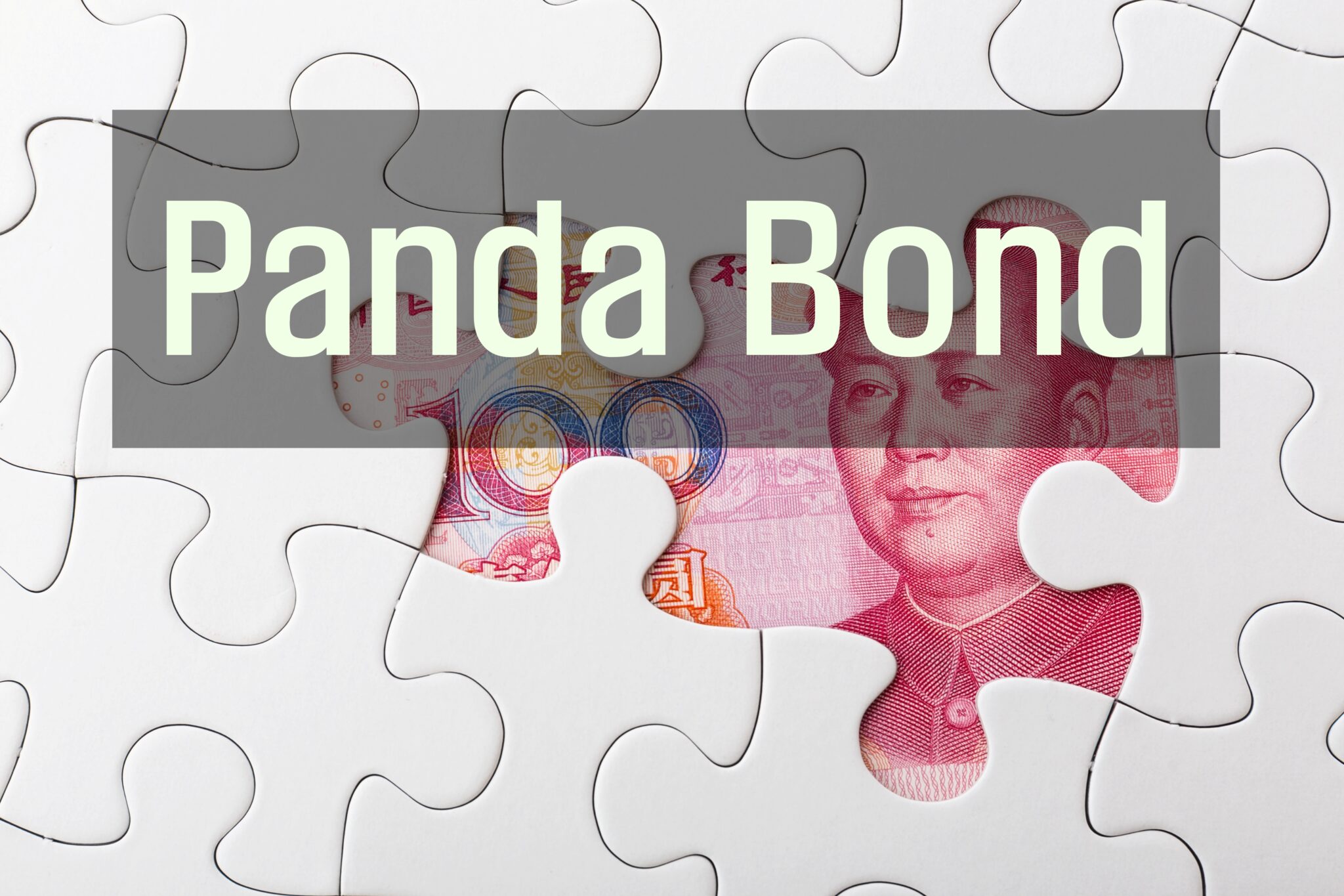 판다 본드 (Panda Bond) - IT Insights