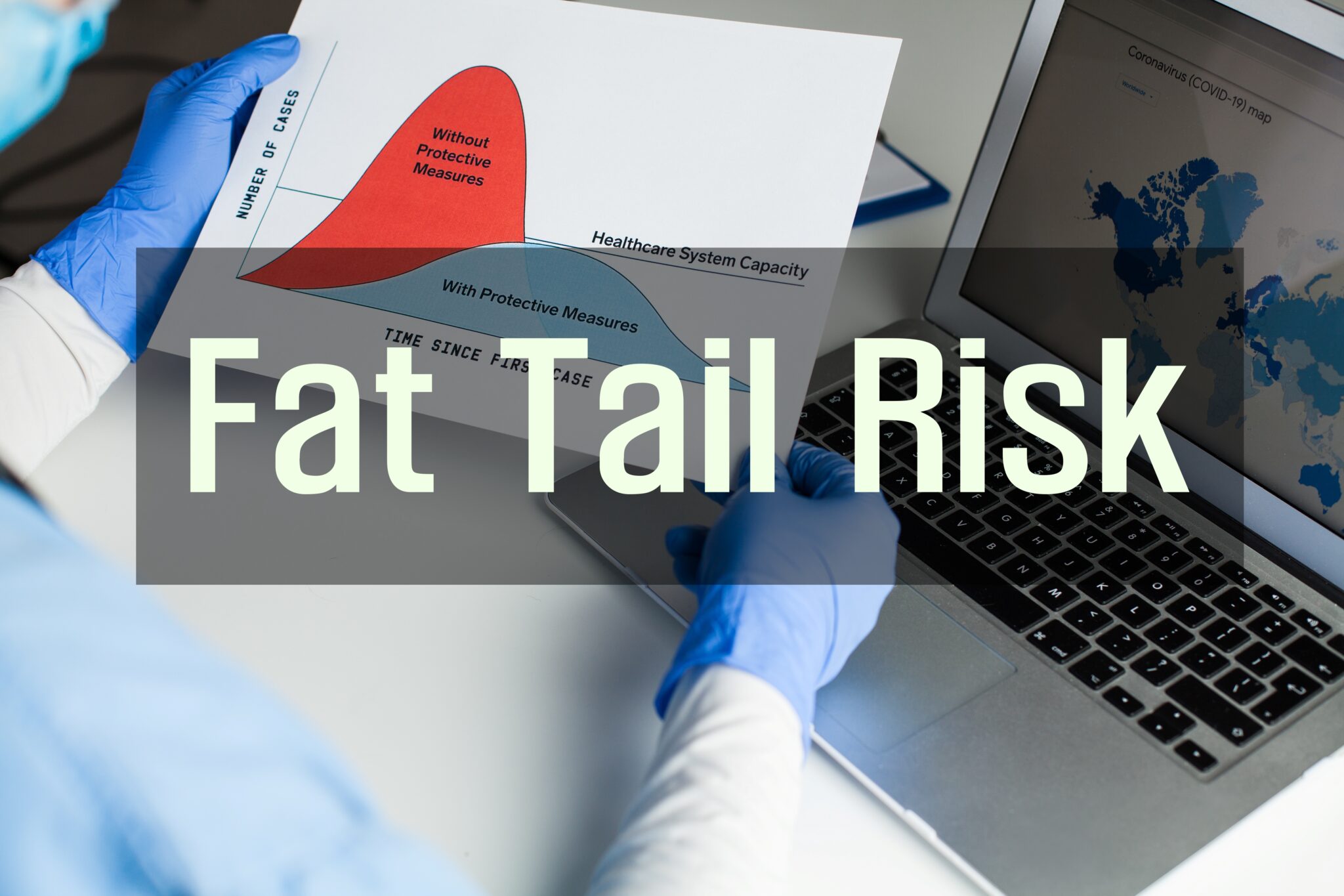 팻 테일 리스크 (Fat Tail Risk) - IT Insights