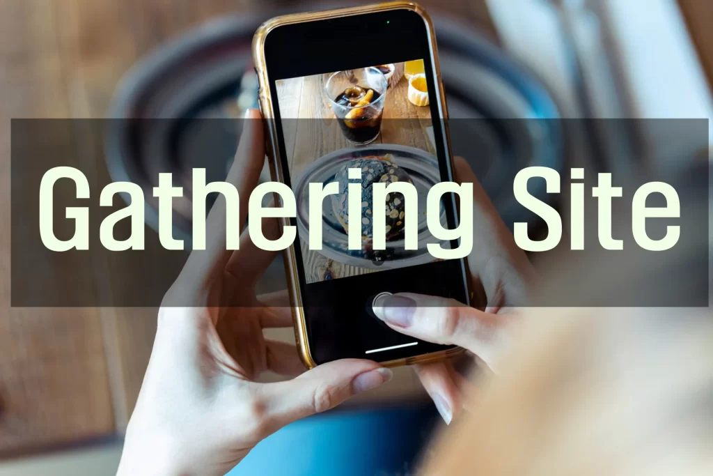 게더링사이트 (Gathering Site) - IT Insights