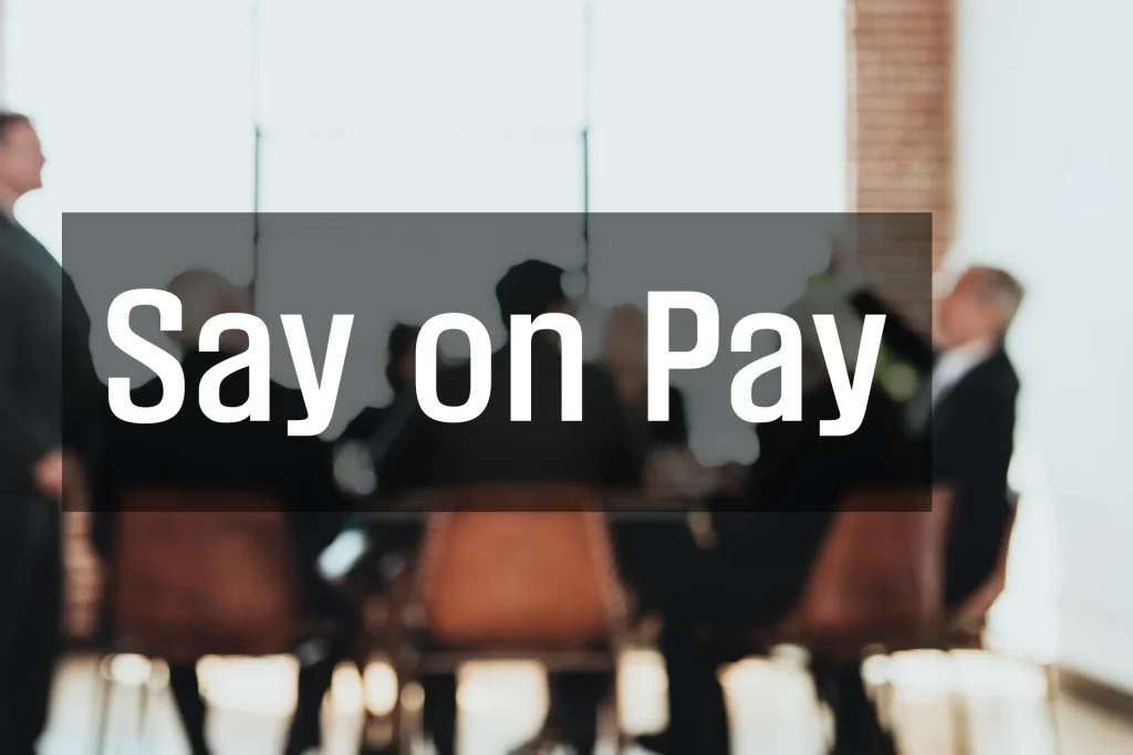 세이 온 페이(Say-On-Pay) - IT Insights