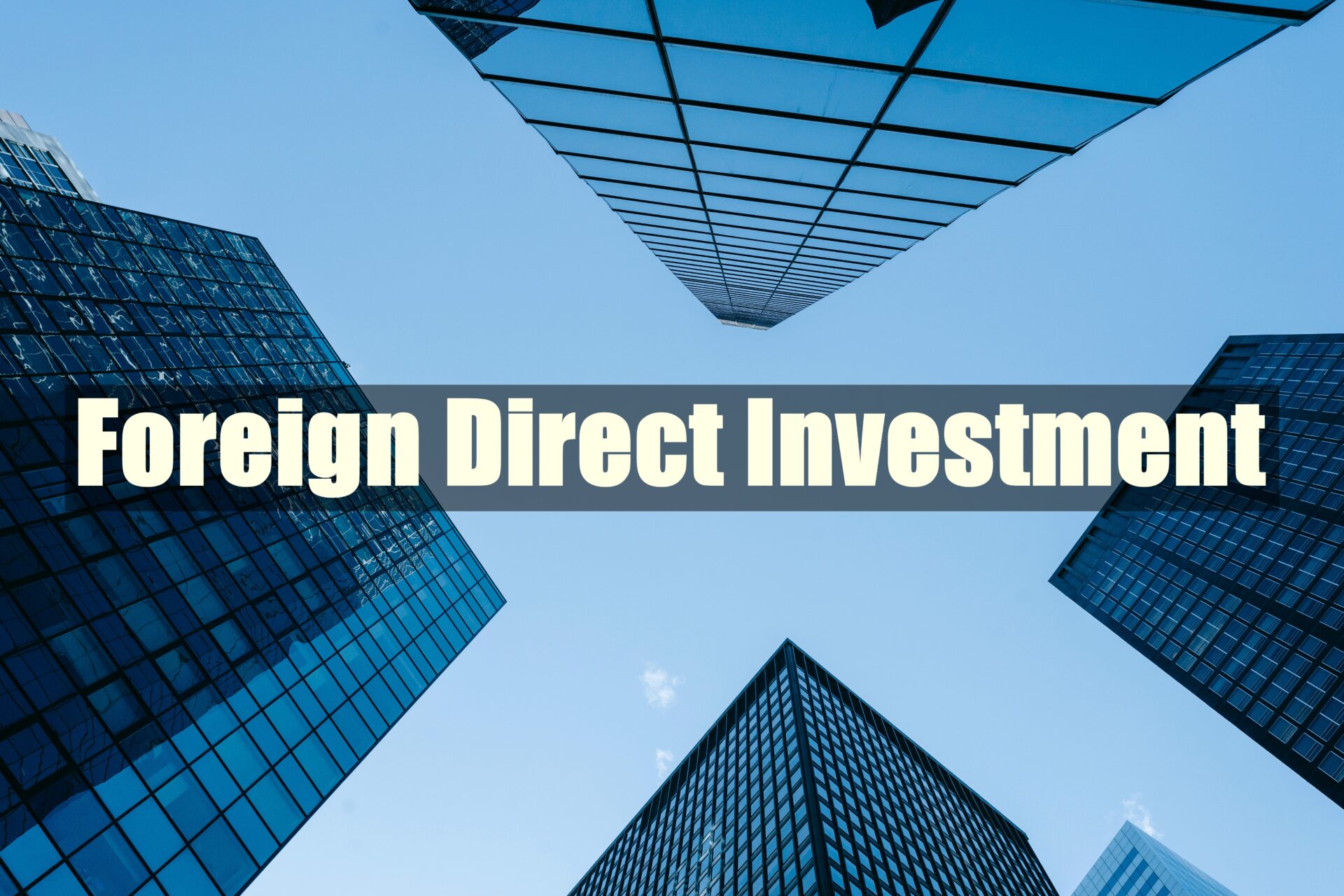 FDI (Foreign Direct Investment) - IT Insights